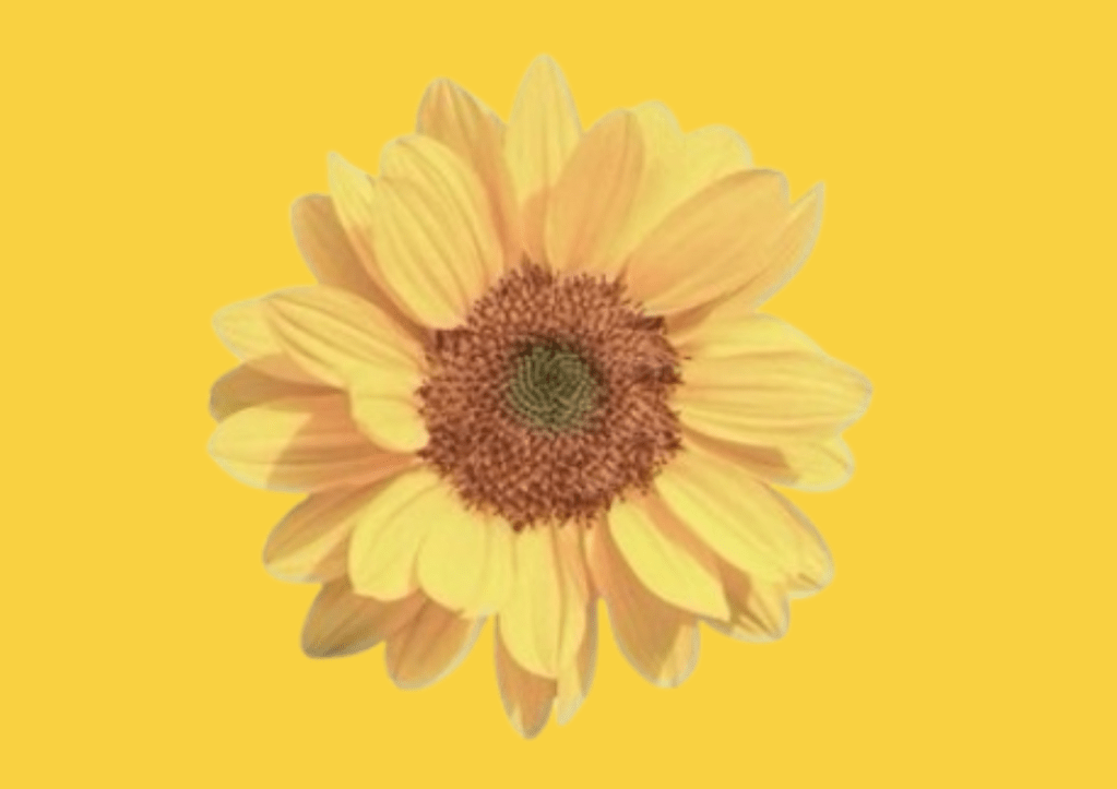 How To Win Friends and Influence People: A Book Review – The Reading Birdie